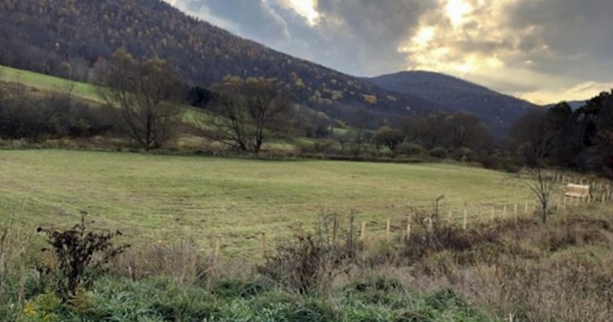 Rosemary Farm Sanctuary Inc. - New Land, Hooo! Help Fence it!