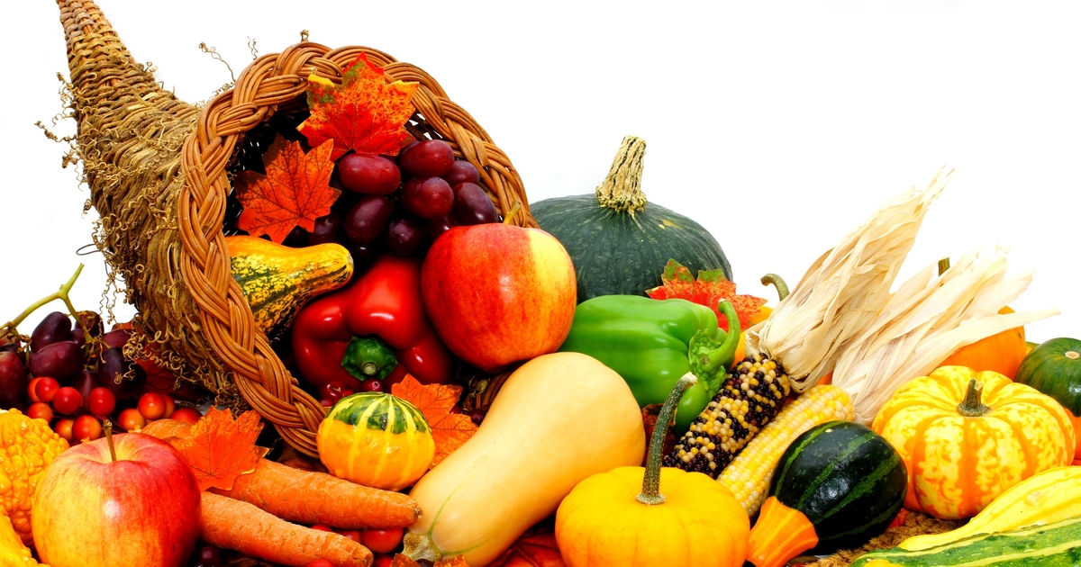 Second Harvest Food Bank of Northwest Pennsylvania - Online Giving