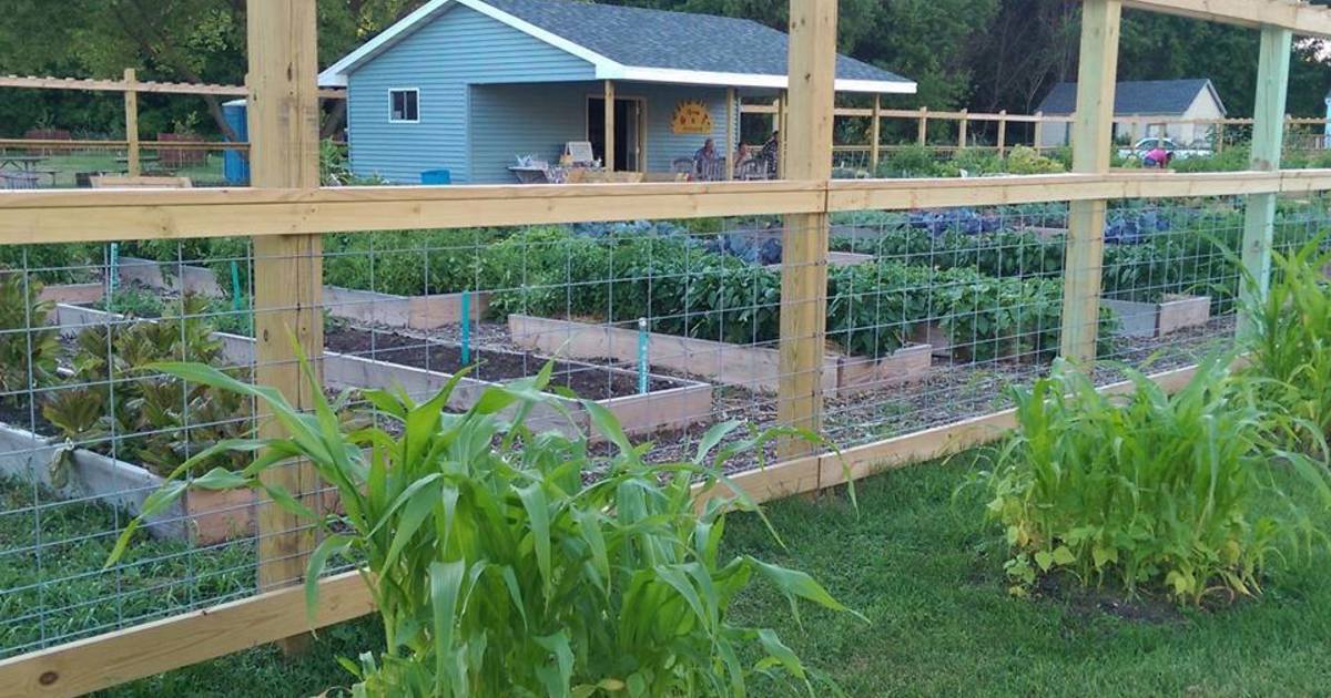 Grow It Forward - Grow-a-Row for 54220