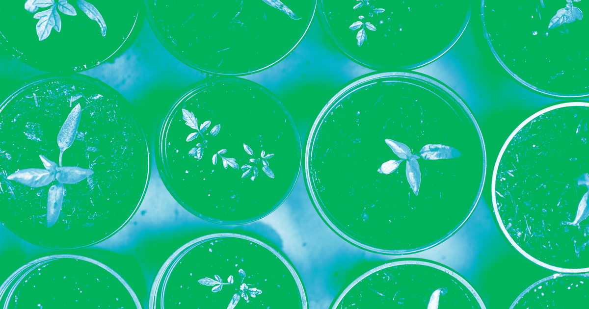 Groundwork Milwaukee Inc - 2021 Milwaukee Grows Supporter Membership