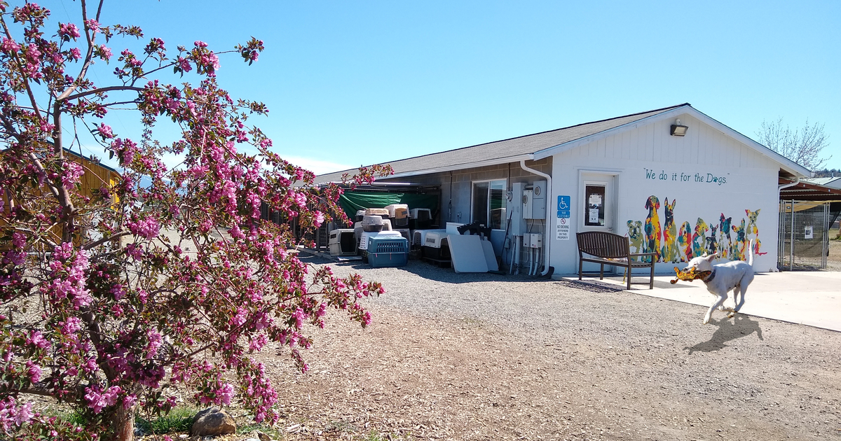 Rescue Ranch - General Donations