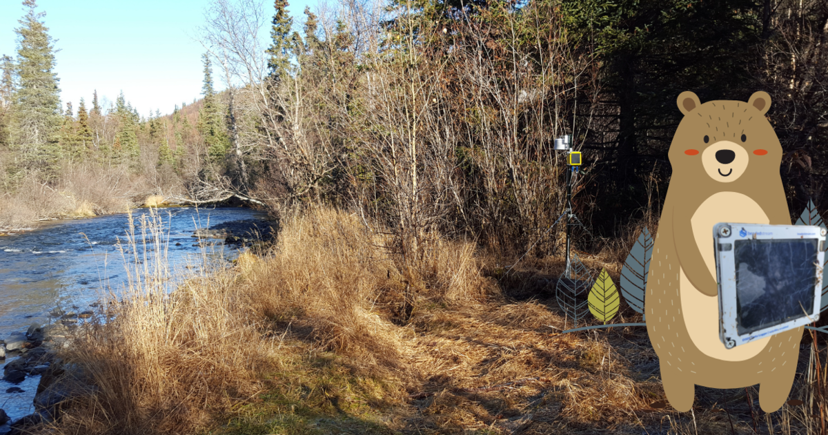 Cook Inletkeeper - Become a Russian River Salmon Champion