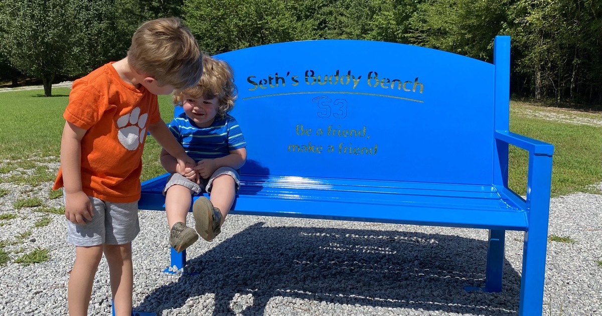 Seths Giving Tree - Seth's Buddy Bench Project