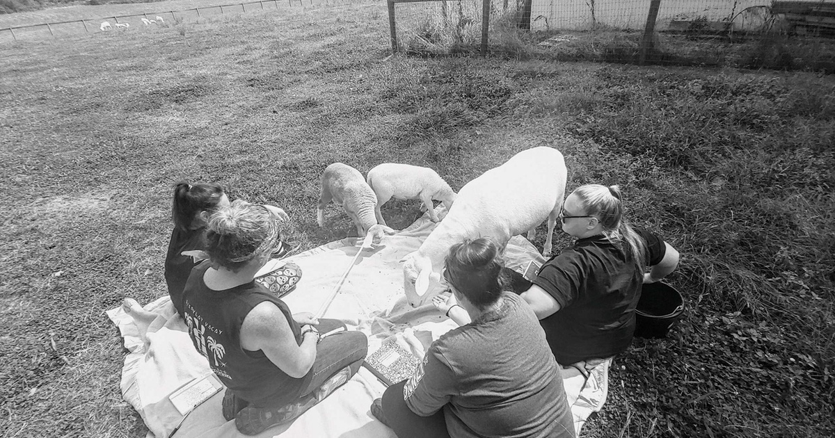 Char Hope Foundation - Corral 99 Giving Campaign "The Missing One"