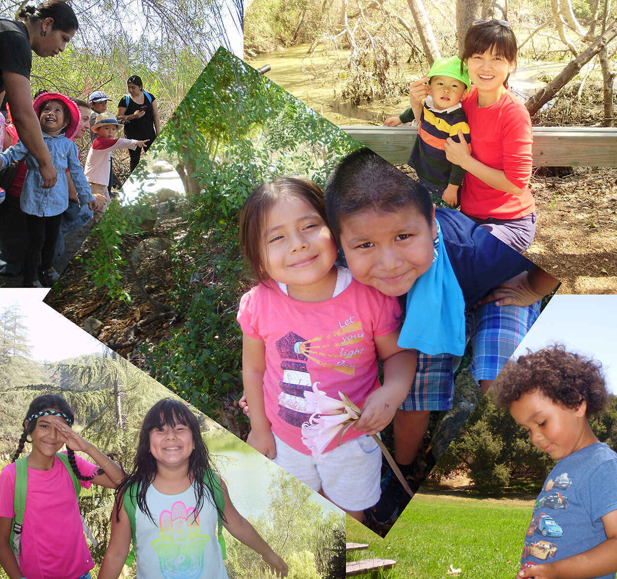 The Wildwoods Foundation - Board Match Challenge