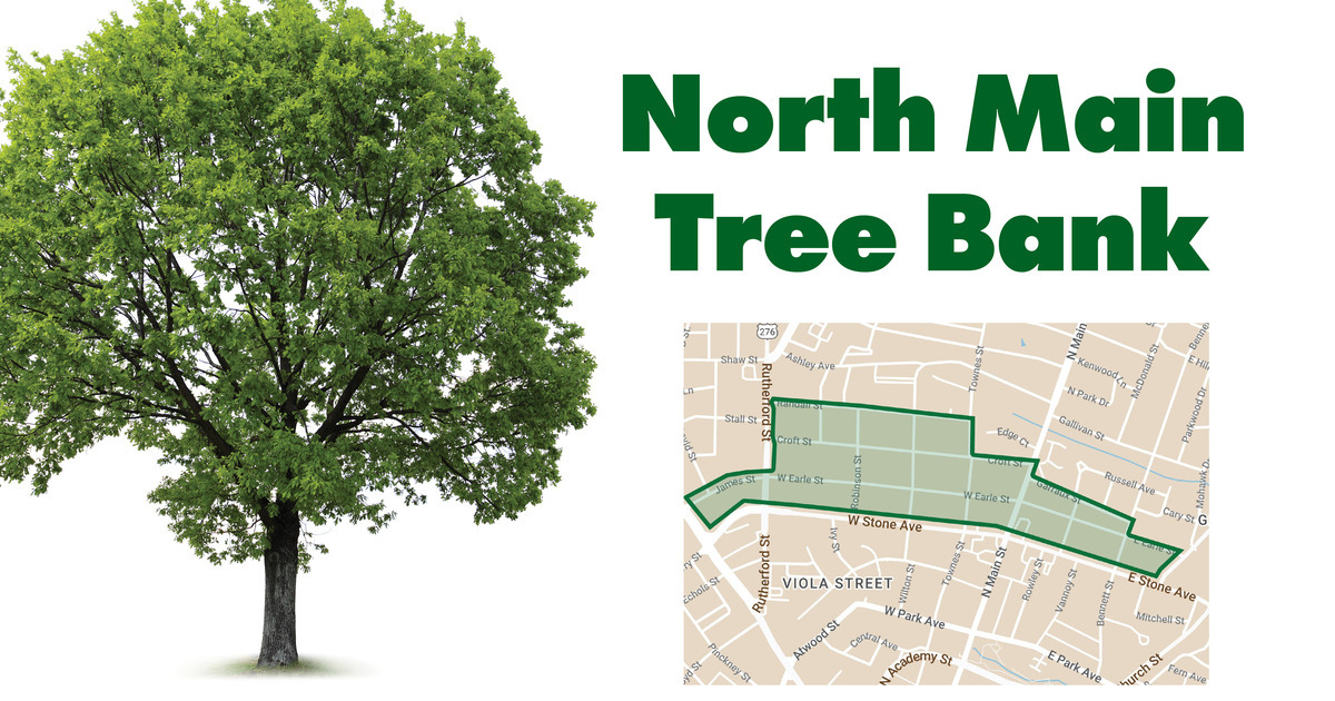 Trees Upstate - North Main Tree Bank