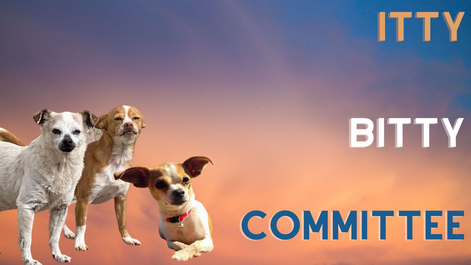 Last Chance Animal Rescue Fund - Itty Bitty Committee