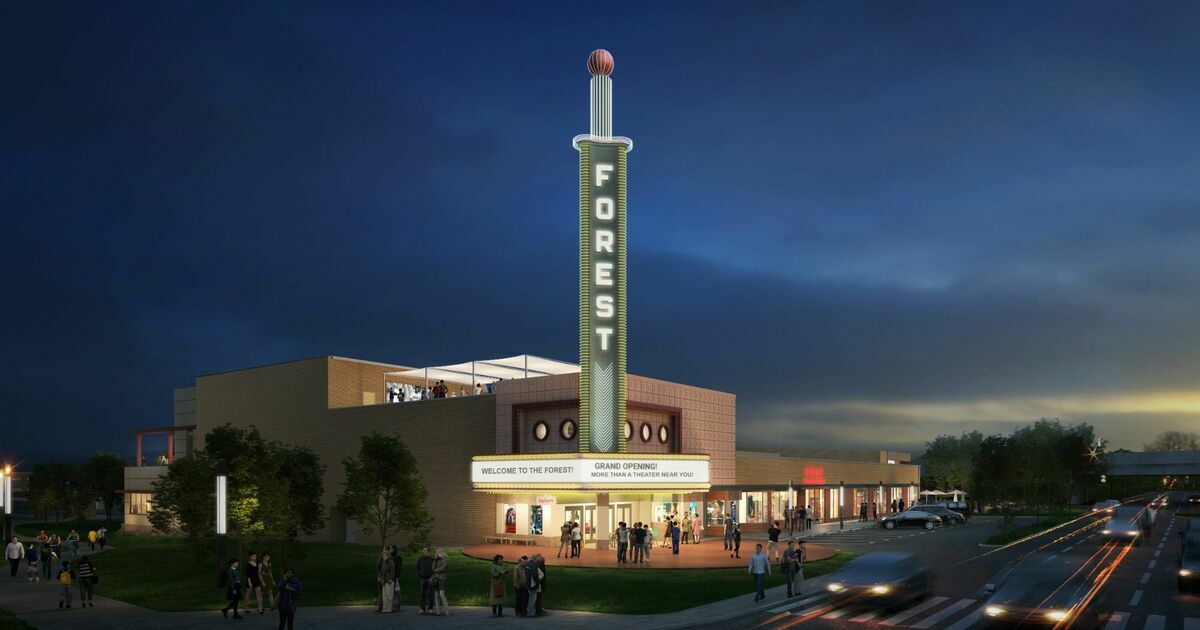 Forest Forward - Forest Forward