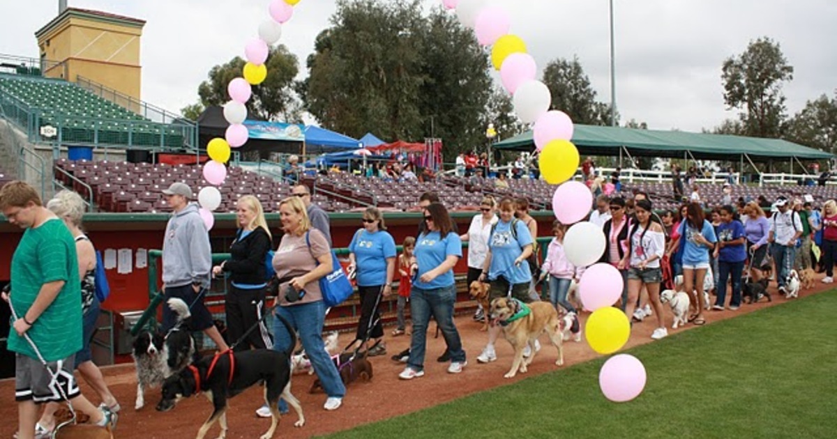HUMANE SOCIETY OF SAN BERNARDINO VALLEY - HSSBV Walk for the Animals