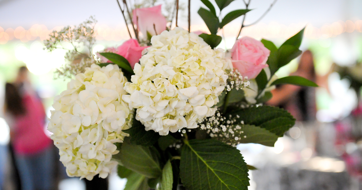 Core Compassion Project - Donation Page