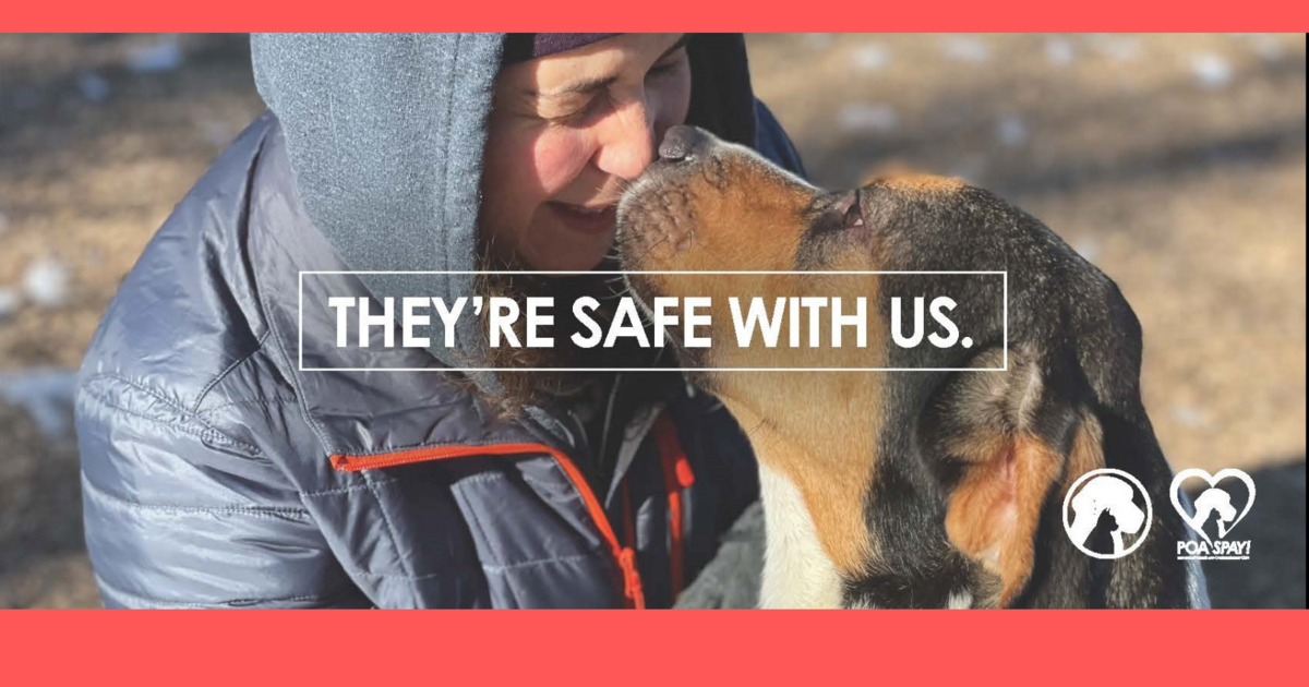Protectors of Animals Inc. - They're Safe With Us