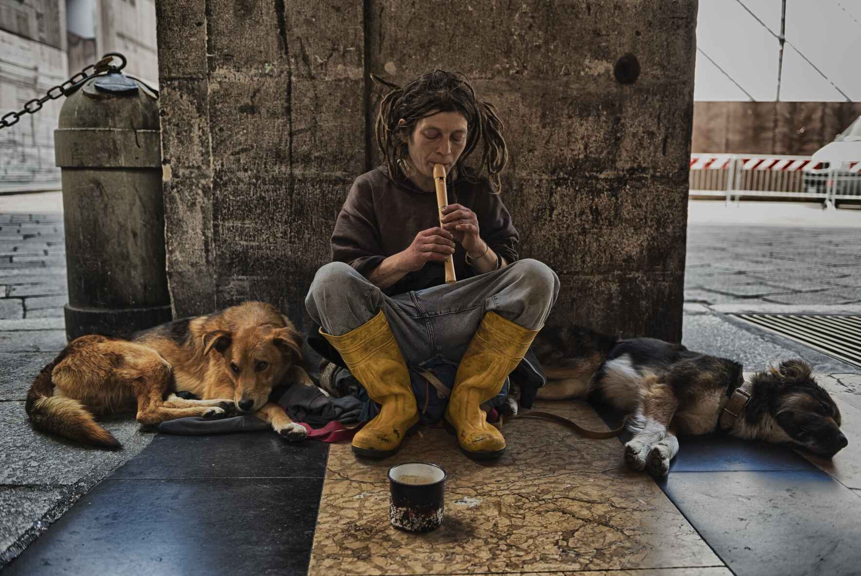 DENTON ANIMAL SUPPORT FOUNDATION INC - Helping Those Experiencing ...