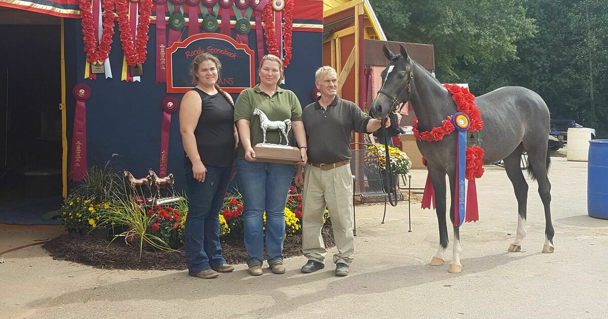 HORSEMENS DISTRESS FUND INC - In Memory of Horseman Randy Stoneback