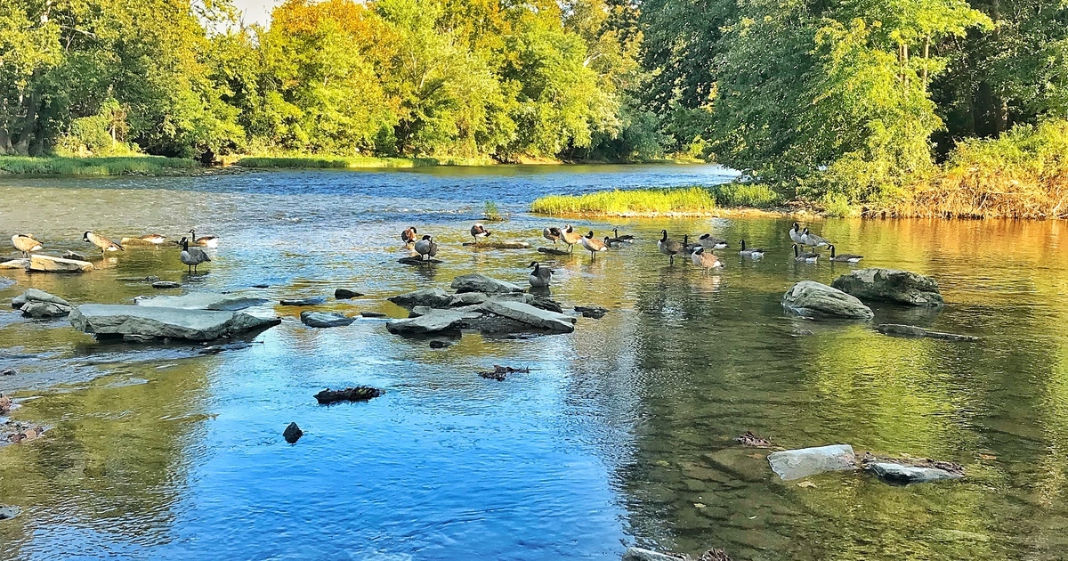 Ohio River Foundation - Become a Member