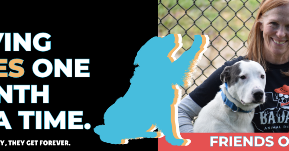 BADASS ANIMAL RESCUE INC - Friends of Badass - Saving Lives One Month ...