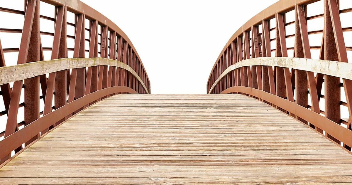 Camp Laurelwood - Bridge To The Future!