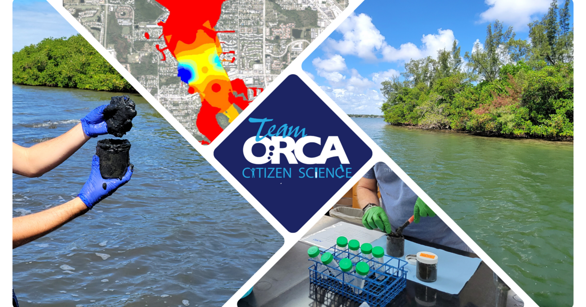 Ocean Research & Conservation Association - ORCA Mapping Pollution and ...