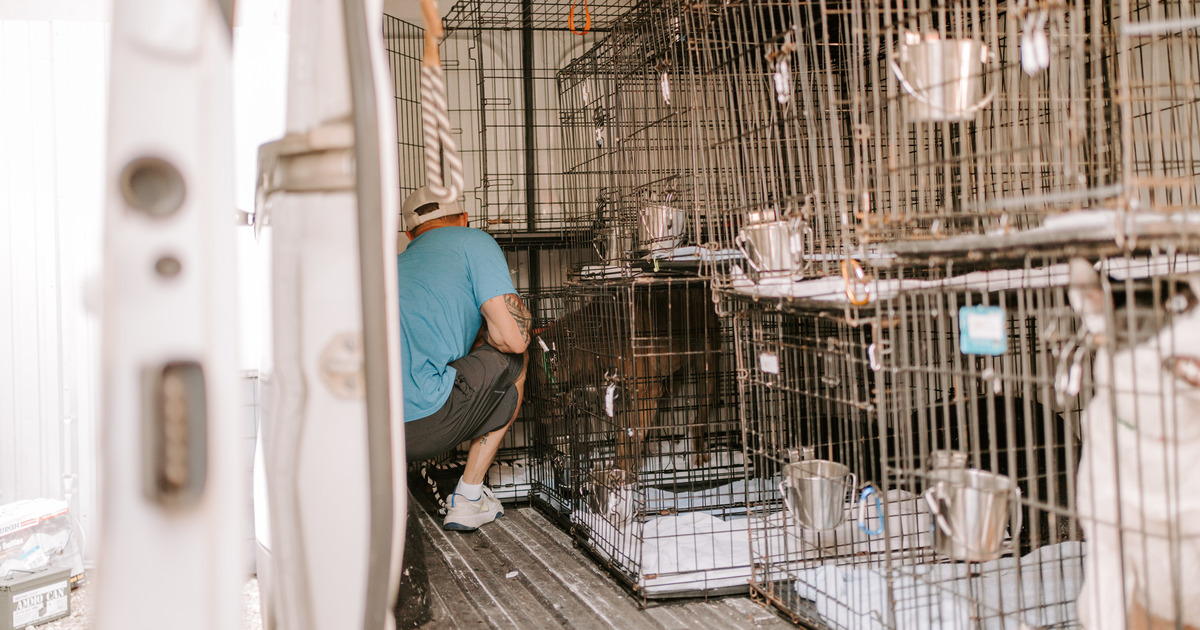 RESCUED PETS MOVEMENT INC - Crates for Rescue Dog Transports