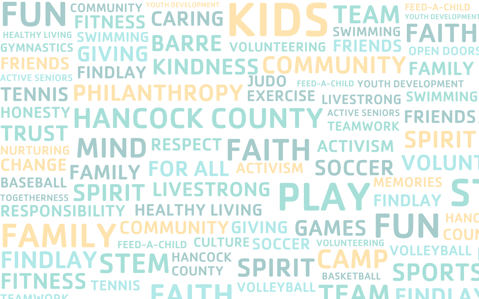 Findlay YMCA - 2022 YMCA Annual Campaign - Find your Y