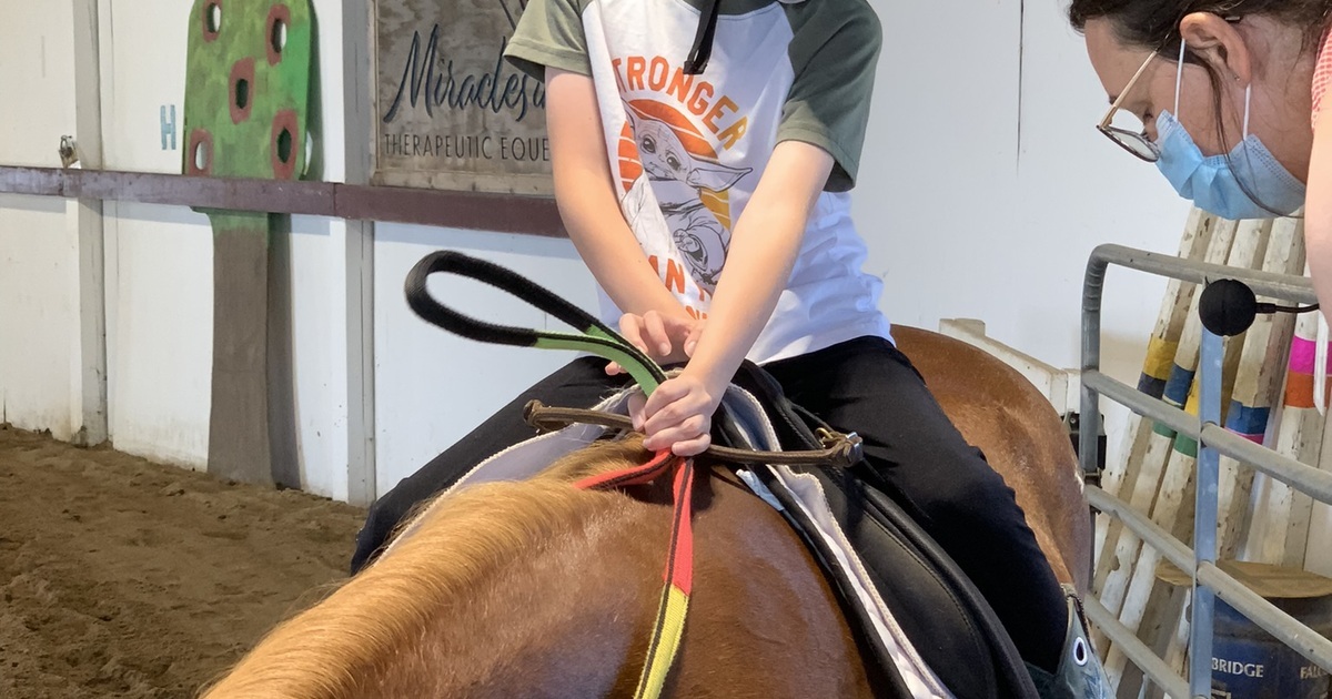 MIRACLES IN MOTION THERAPEUTIC EQUESTRIAN CENTER - "Walk on"