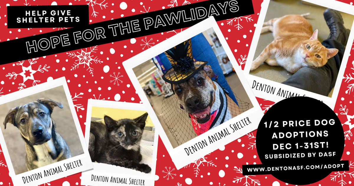 DENTON ANIMAL SUPPORT FOUNDATION INC - Hope for the Pawlidays 2022