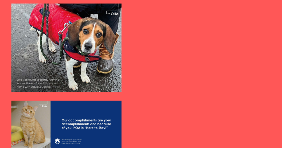 Protectors of Animals Inc. - POA is Here to Stay