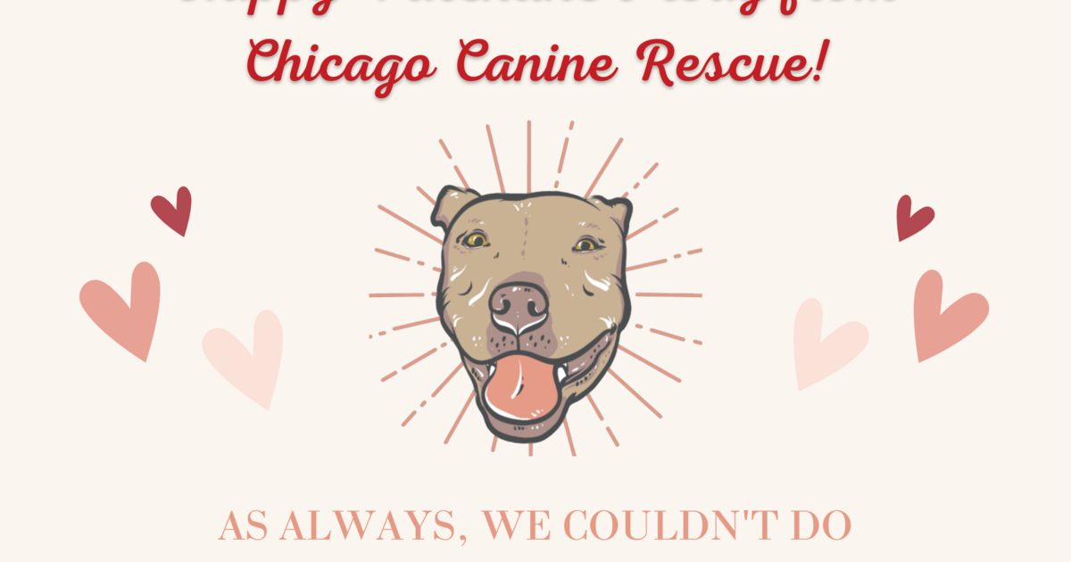 Chicago Canine Rescue Foundation - CCR Valentine's Day Card Fundraiser!