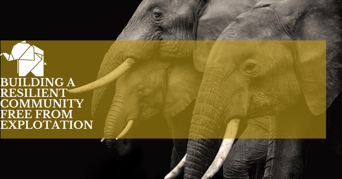 The Formation Project - Make an Impact