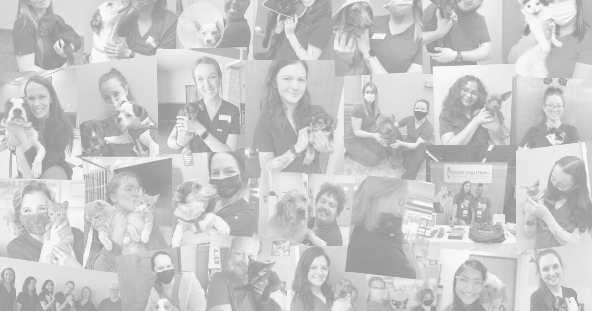TEXAS COALITION FOR ANIMAL PROTECTION - TCAP Heroes