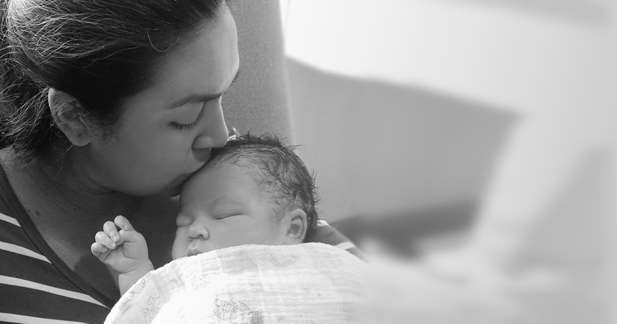 Seven Hills Foundation Inc. - Anja's Light Evergreen Fund