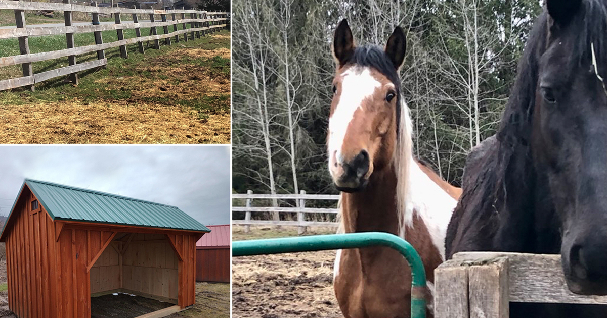 Rosemary Farm Sanctuary Inc. - Spring Expansion