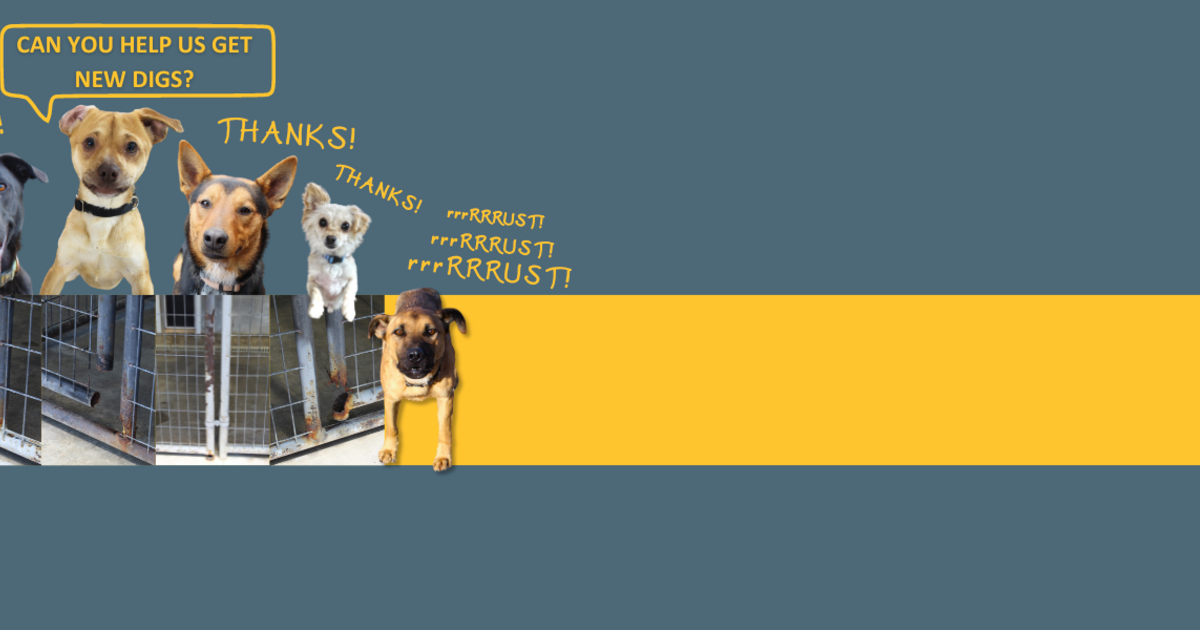 Rescue Ranch - New Digs For Dogs