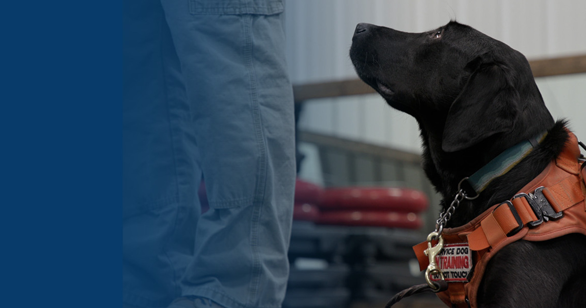 DOG TAG BUDDIES - Dog Tag Buddies: Service Dogs for Montana Veterans