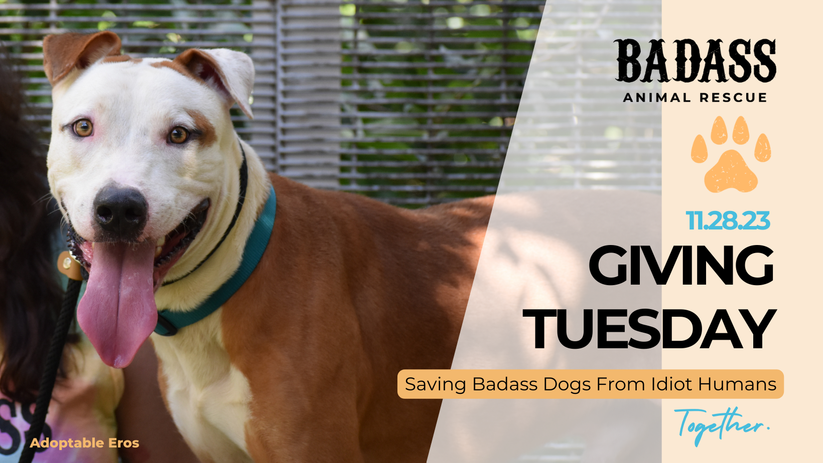 BADASS ANIMAL RESCUE INC - Badass Giving Tuesday 2023
