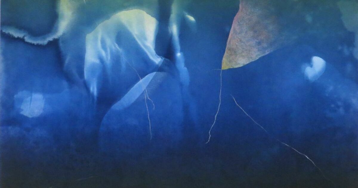 The Buttonwood Tree Performing Arts Center Inc - July Art Exhibit Robin ...