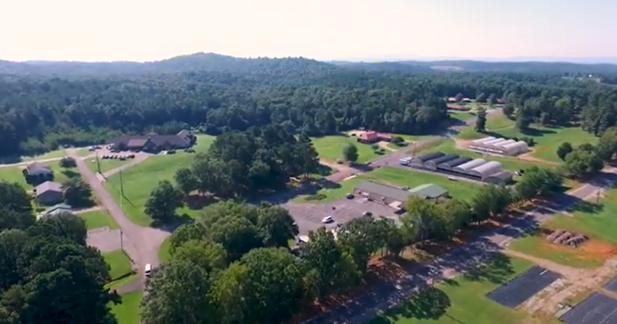 RAINBOW OMEGA INC - Everyday Giving