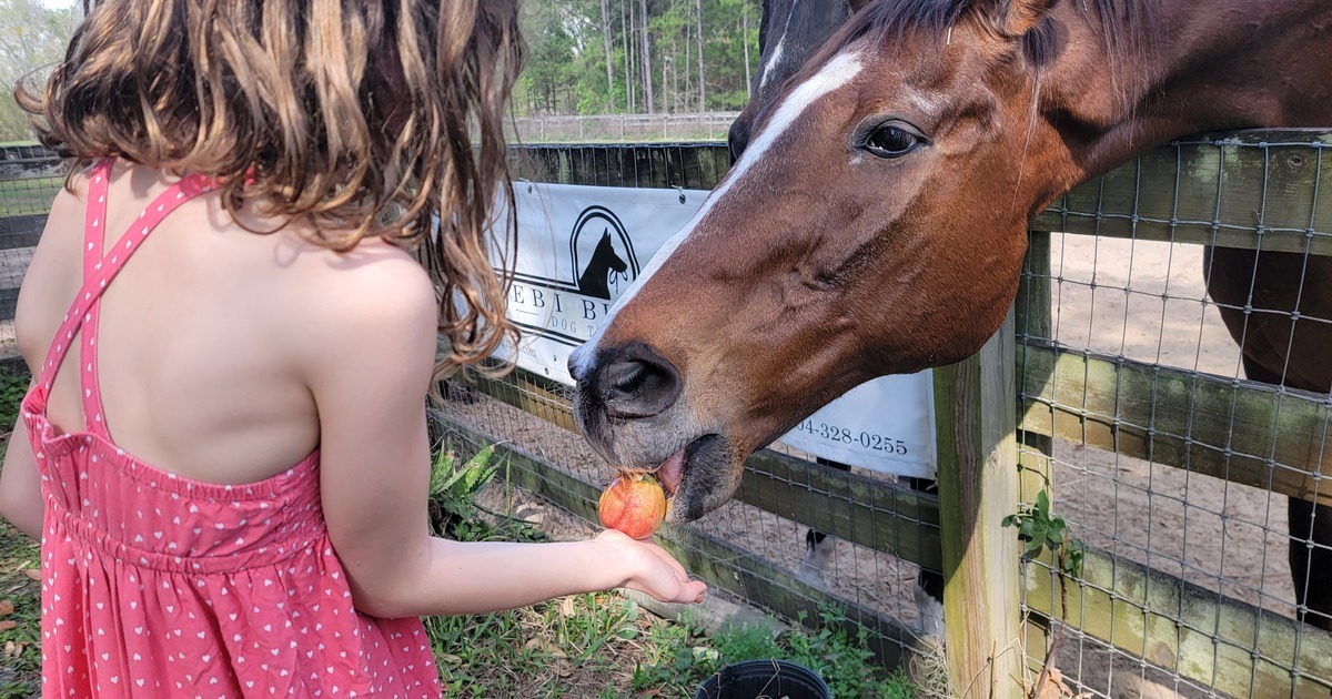 Epic Outreach Inc - Sponsors