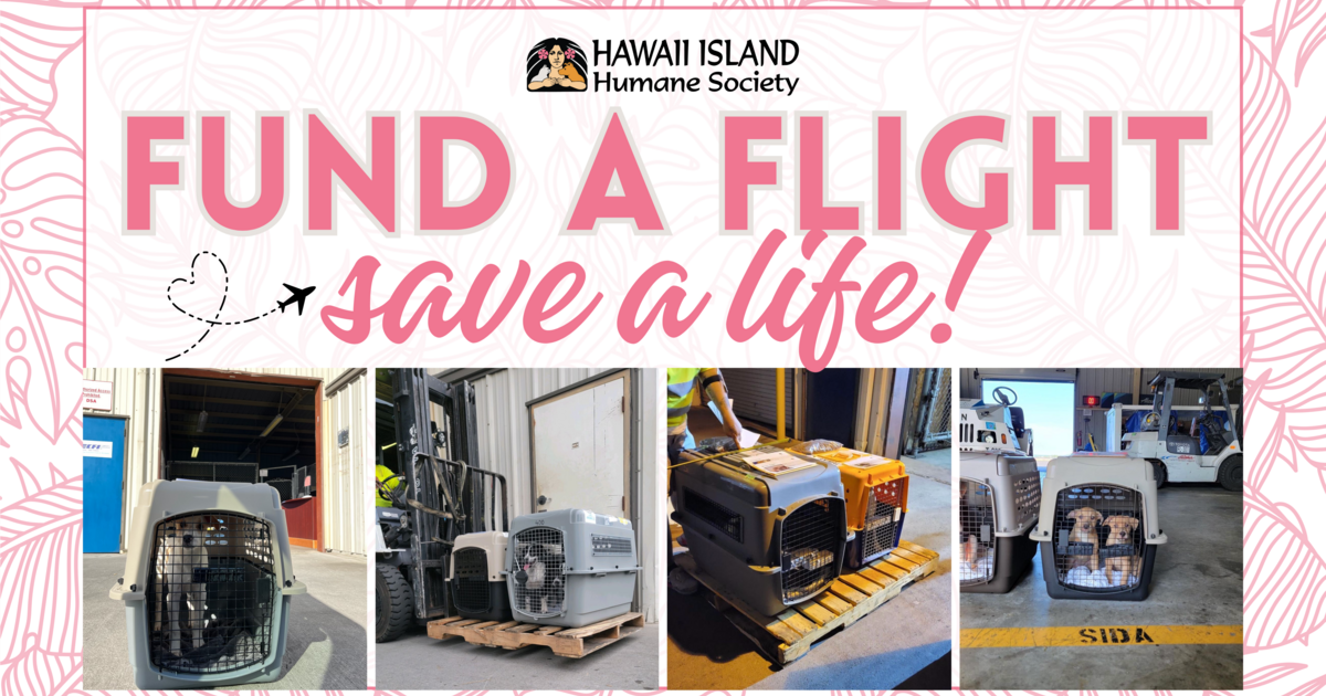 Hawaii Island Humane Society - Fund a Flight! Change a Life!