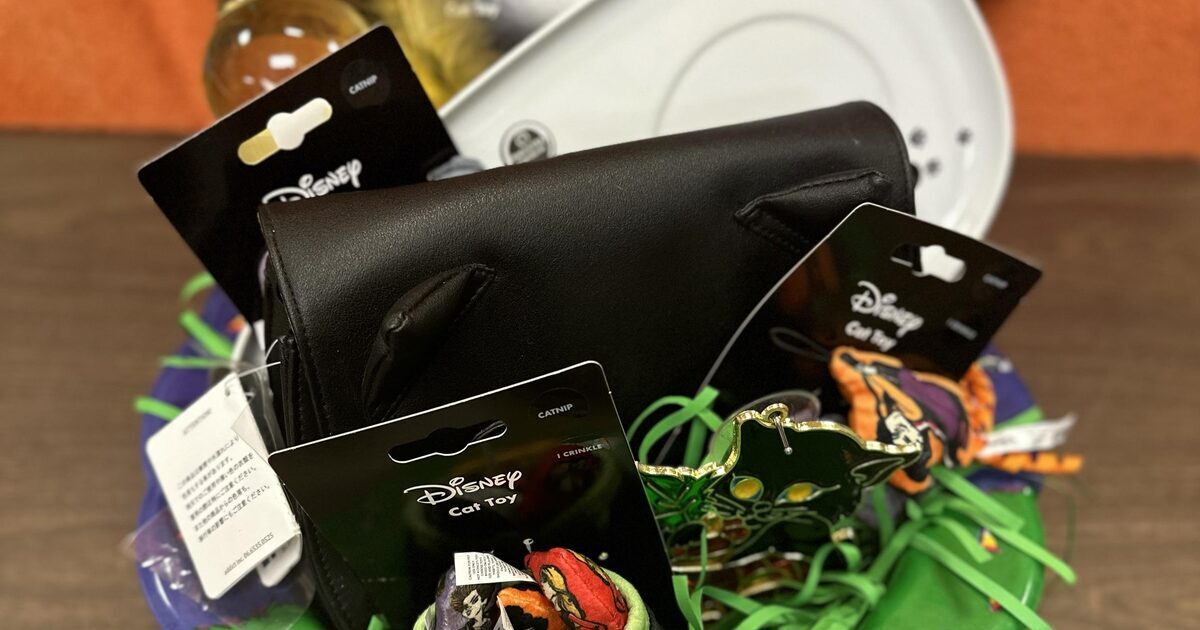 HUMANE SOCIETY OF WALDEN INC - Black Cat Raffle Basket