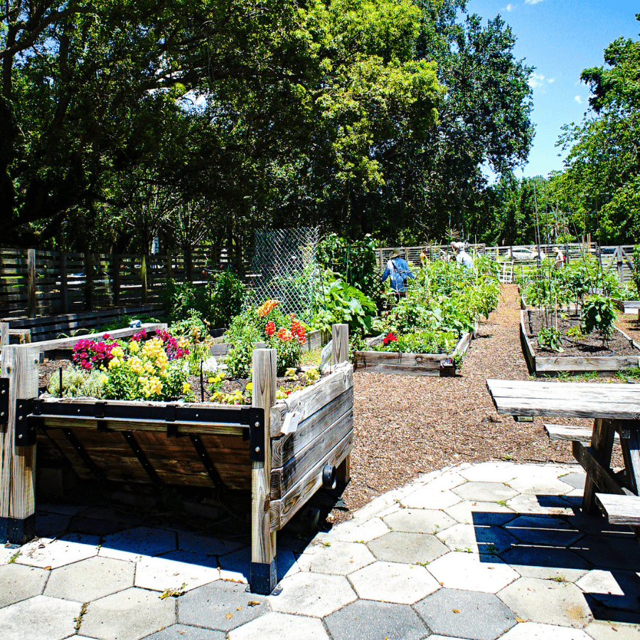 Riverside Avondale Preservation - Community Garden Annual Payment 2024