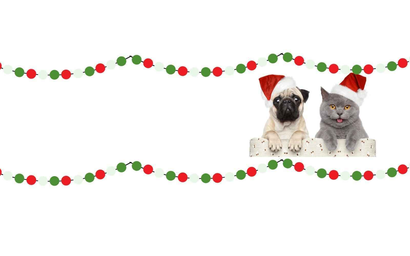 I Heart Dogs Rescue and Animal Haven - Holiday Sponsorship