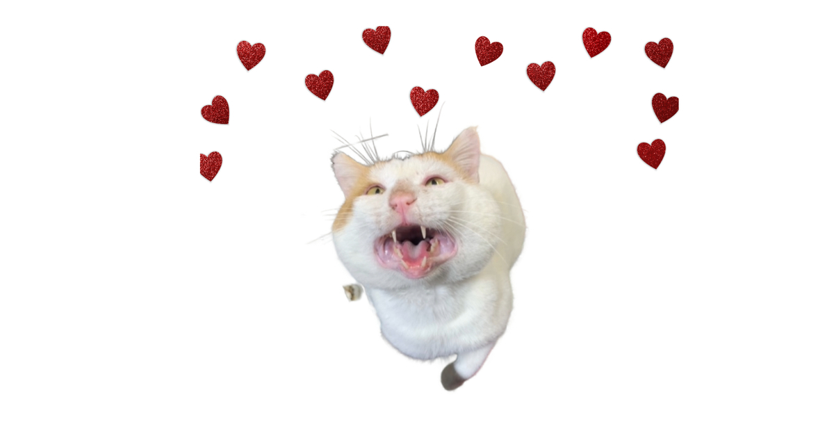 Save Our Cats and Kittens Inc - 2024 TNR Army Neuter your ex