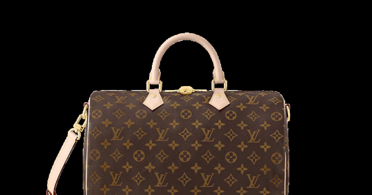 Boys & Girls Clubs of Northeastern Pennsylvania - 2024 Louis Vuitton ...