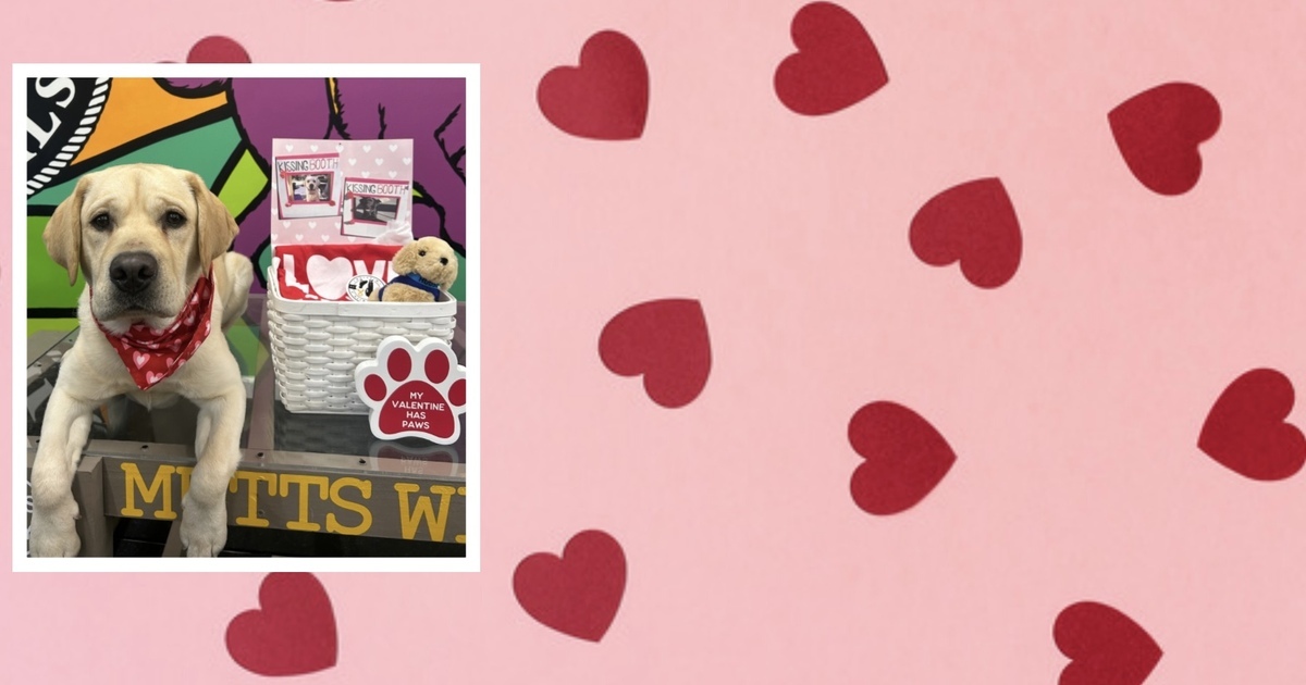 Mutts With A Mission - Mutts With A Mission Puppy Love