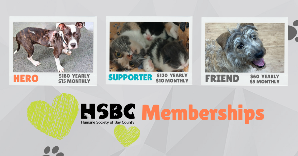 HUMANE SOCIETY OF BAY COUNTY INC - HSBC Memberships
