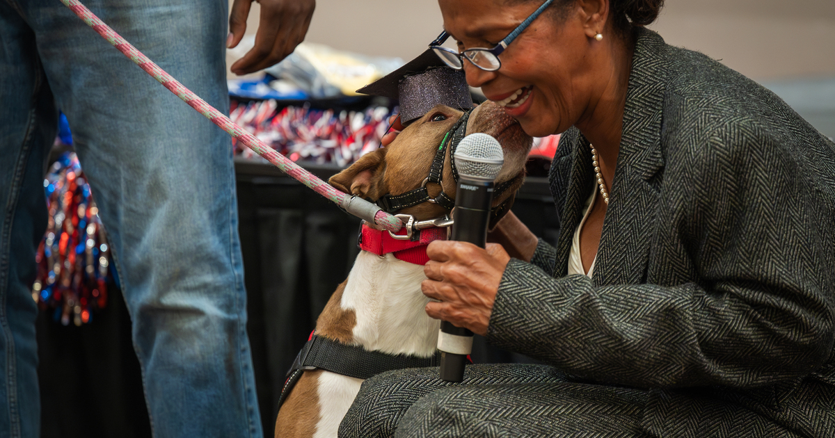 VETS TO VETS UNITED INC - Vets to Vets Everyday Giving