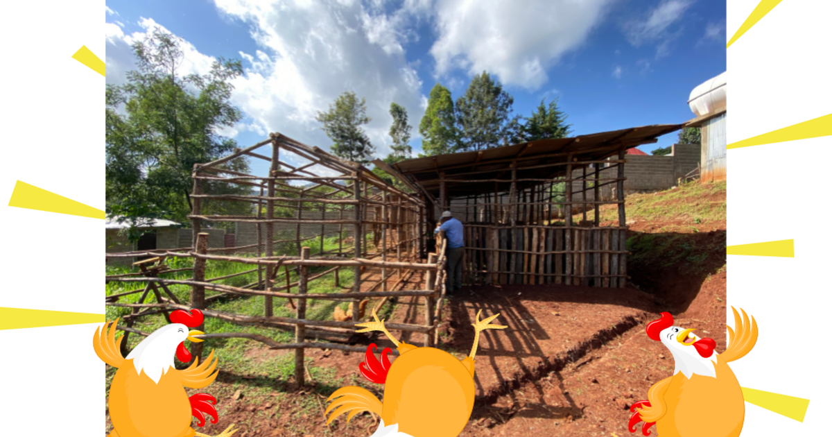 Uryadis Village Inc - UV Chicken Palace