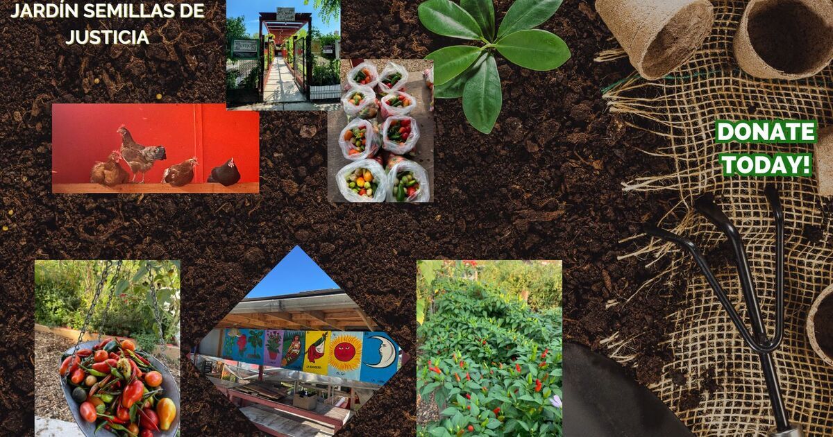 Little Village Environmental Justice Organization - Sueño Solar del ...