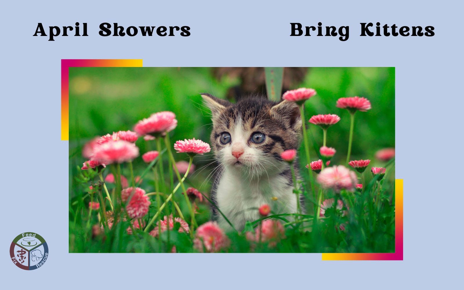 PET PANTRY OF LANCASTER COUNTY INC - April Showers Bring Kittens