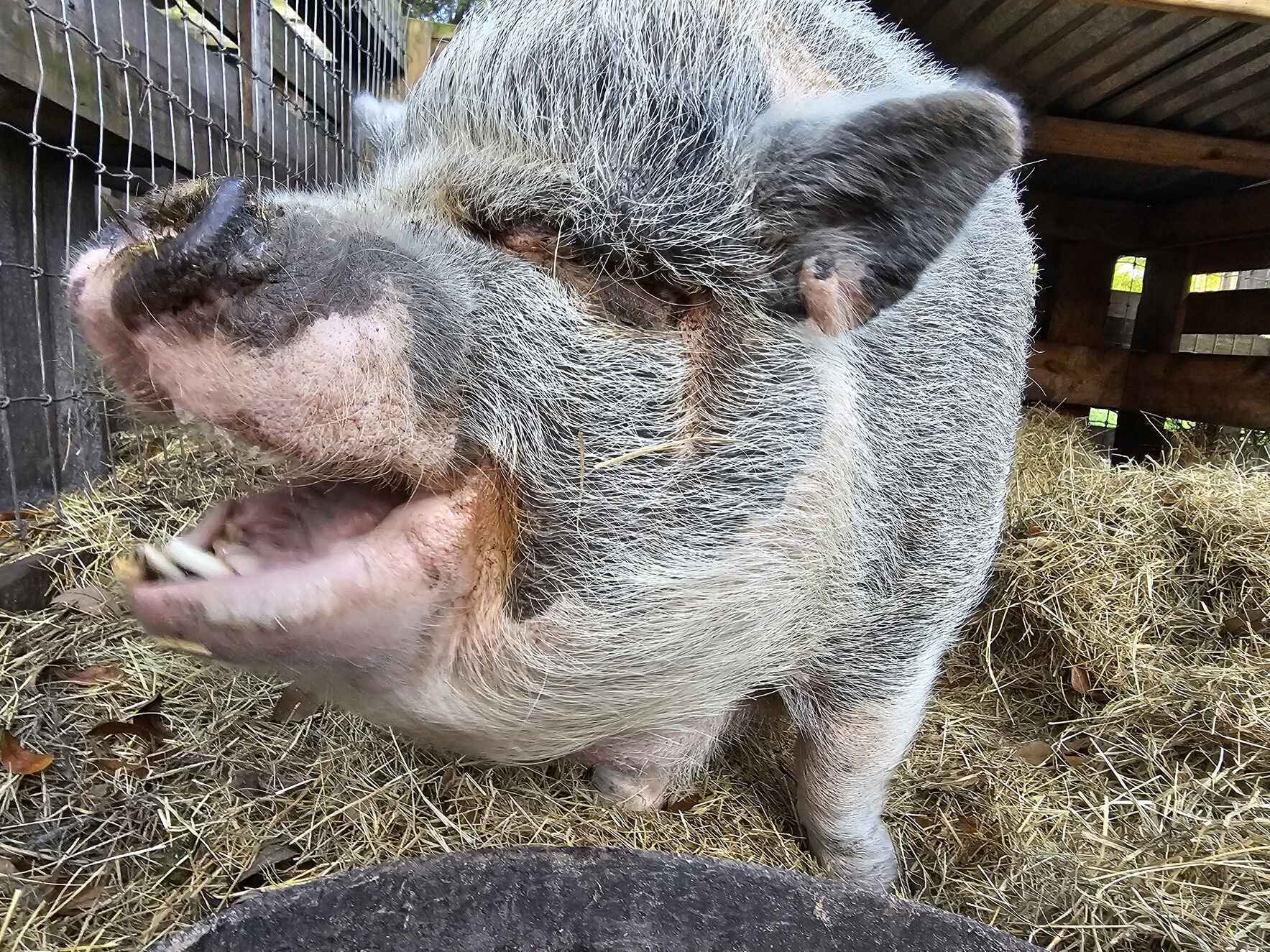 Epic Outreach Inc - Constant Care 2024